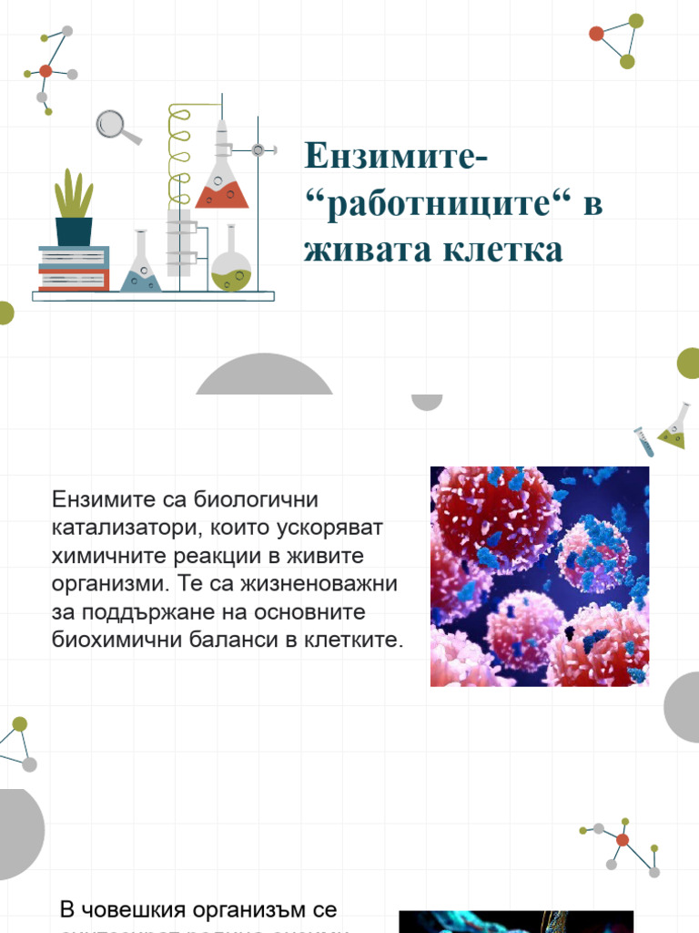 Himiq | PDF