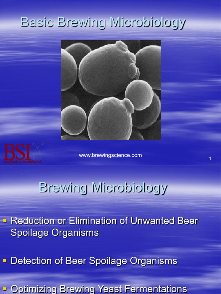 Basic Brewing Microbiology Class | PDF | Brewing | Brewery