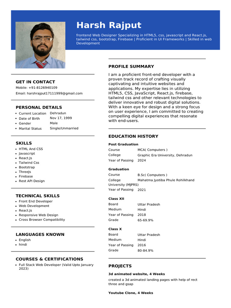 Front-End Developer Profile Summary | PDF | Art | Computers