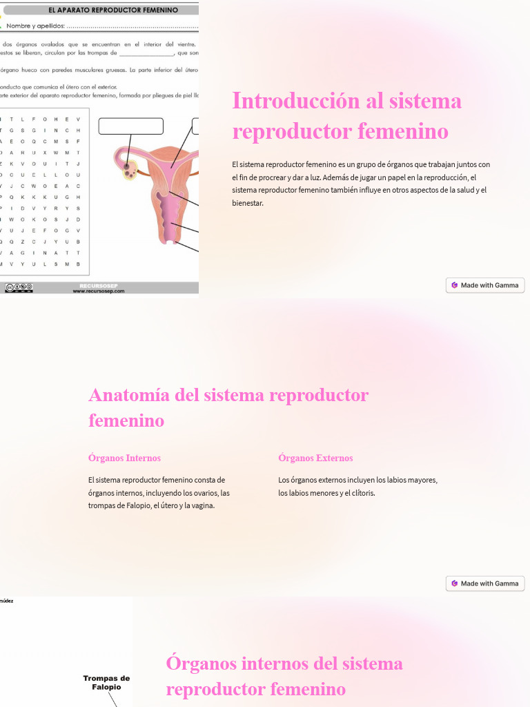 Introduccion Al Sistema Reproductor Femenino | PDF | Sistema reproductivo | Ciclo menstrual