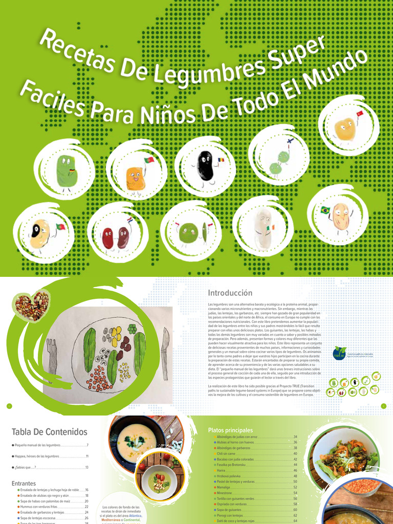 TRUE Cookbook ES Preview v2 | PDF
