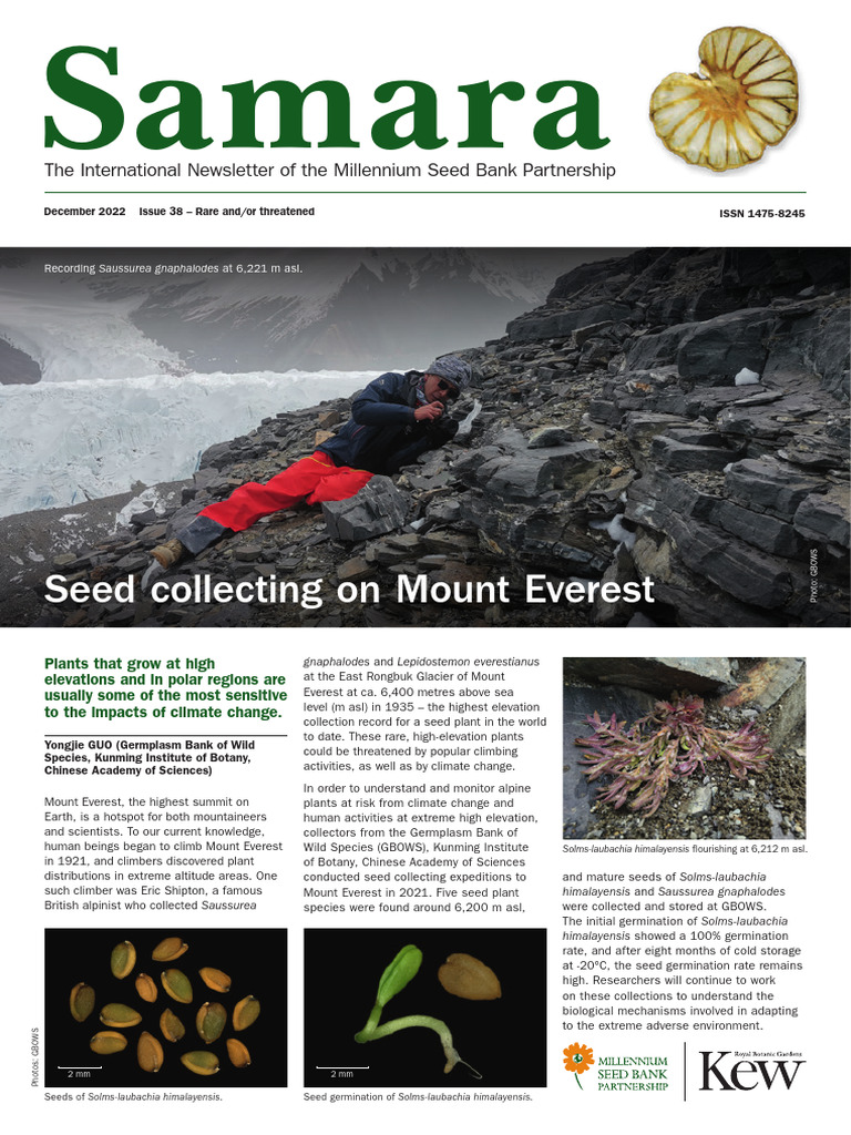 Samara Newsletter Issue 38 - ACCESSIBLE - Final | PDF | Conservation ...