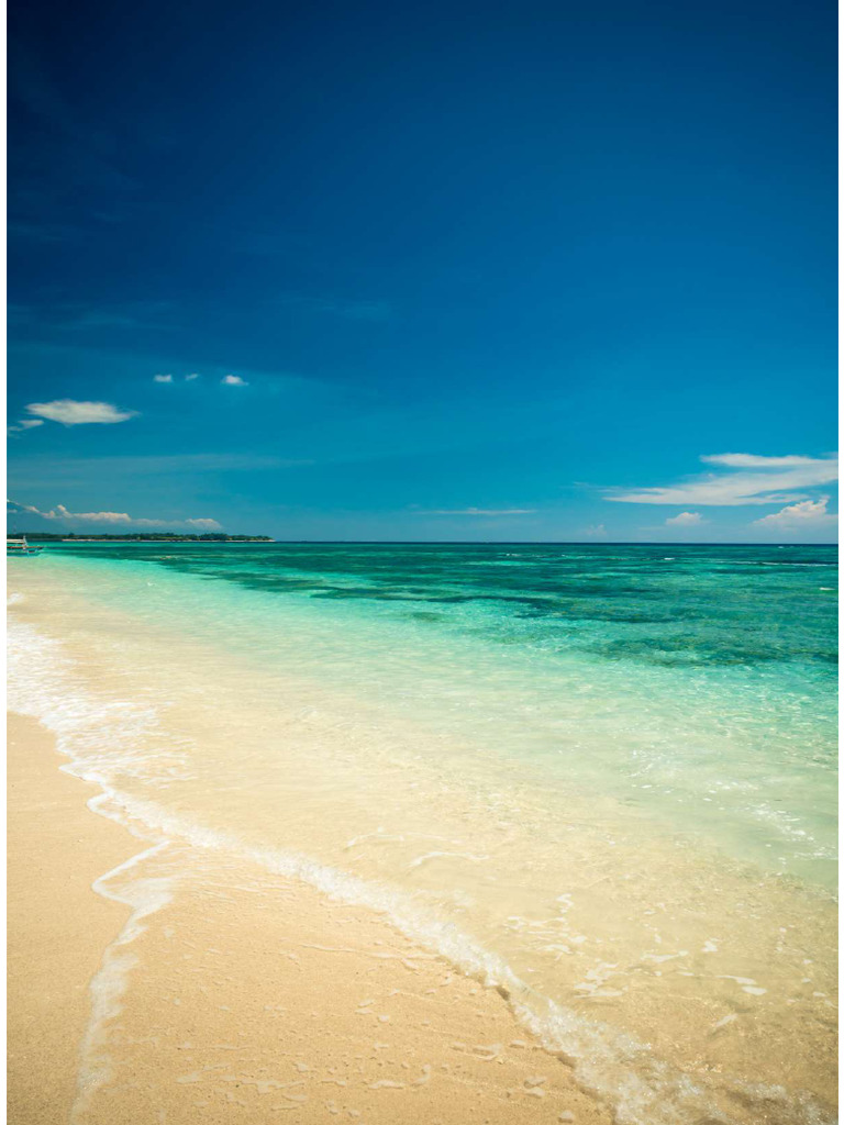 Tropical Beach | PDF