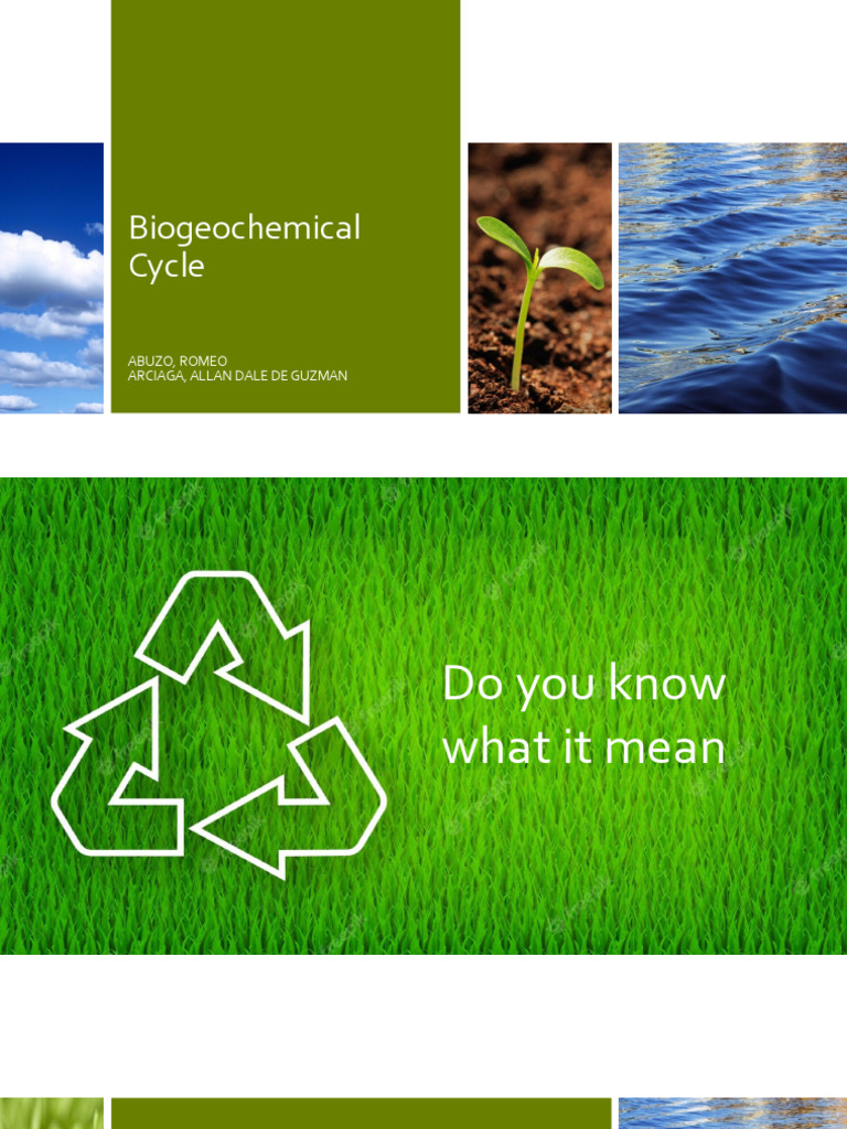 Biogeochemical Cycle | PDF | Soil | Ecosystem