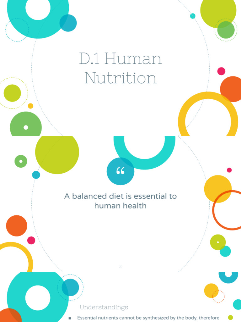Option D - Unit 1 - Human Nutrition Presentation | PDF | Cholesterol ...