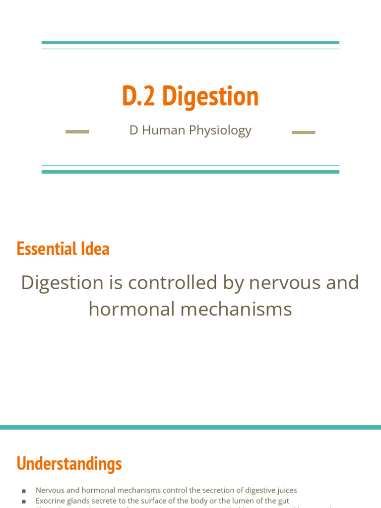 Option D - Unit 2 - Digestion Presentation | PDF | Digestion | Stomach