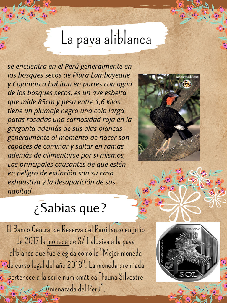 La Pava Aliblanca | PDF | Hogar, jardinería y bricolaje | Ciencia y ...