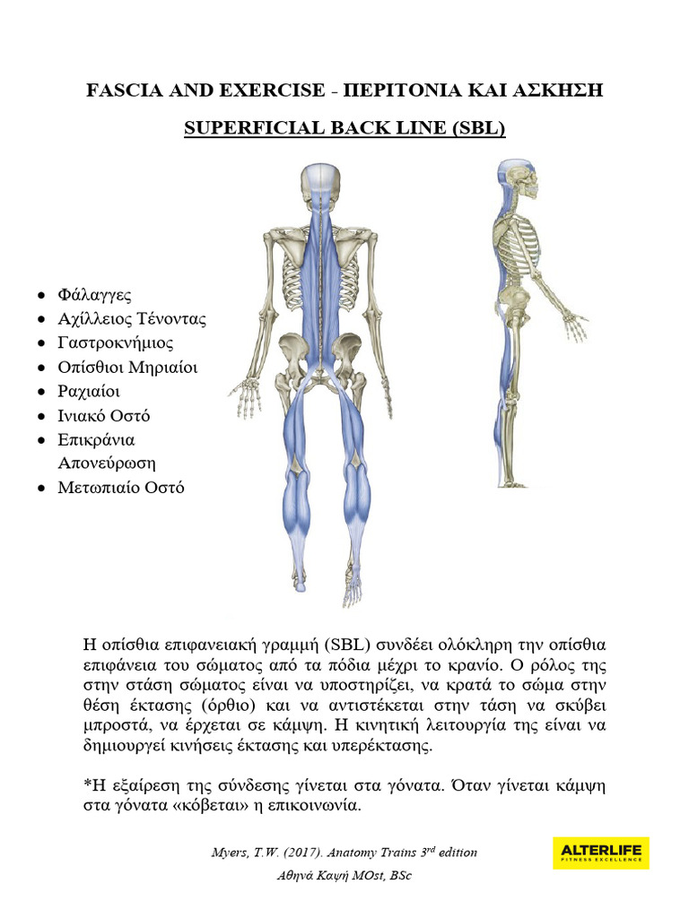 Fascia And Exercise - Περιτονια Και Ασκηση Superficial Back Line (Sbl ...