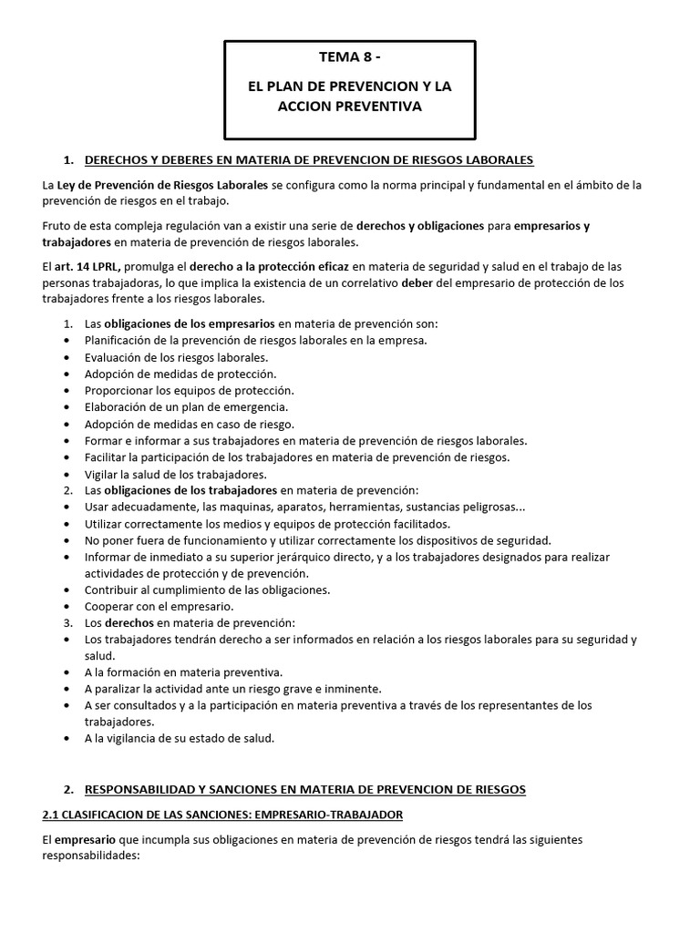 Tema 8 - El Plan de Prevencion y La Accion Preventiva | PDF | Seguridad y salud ocupacional ...