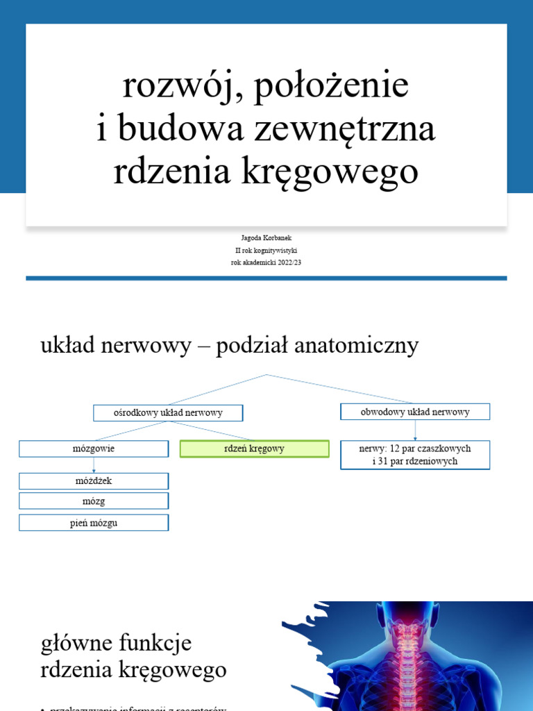 Rdzen Kregowy | PDF
