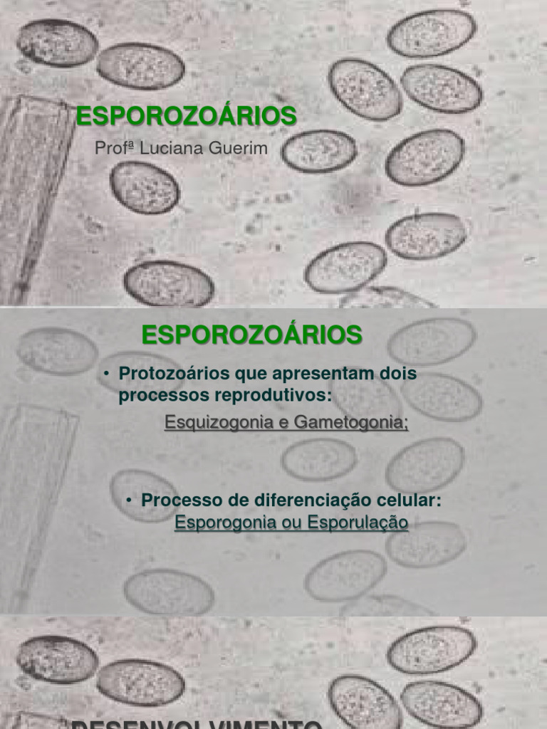 Esporozoarios Intestinais e Extraintestinais | PDF | Interações ...