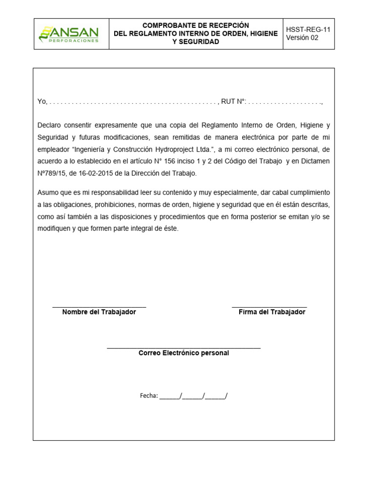 (HSST-REG-11) Formato Entrega de RIOHS Digital | PDF