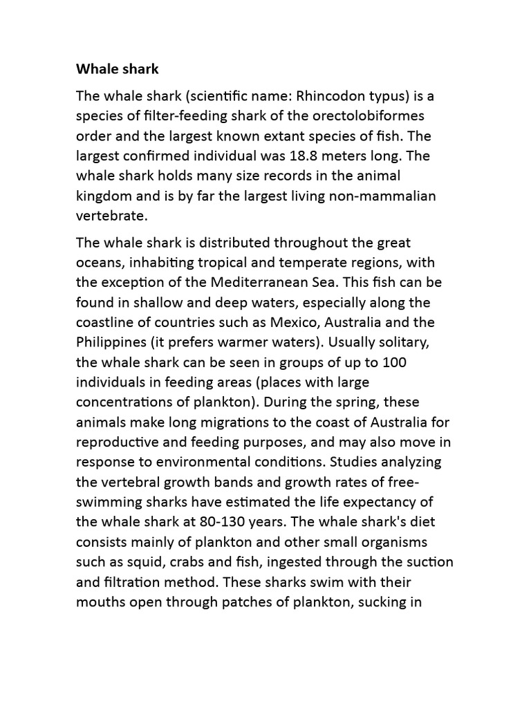 Whale Shark | PDF | Sharks | Whales