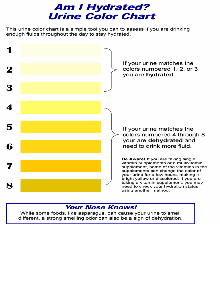 Hydration-Chart - Ashx 2,286×3,007 Pixels | PDF