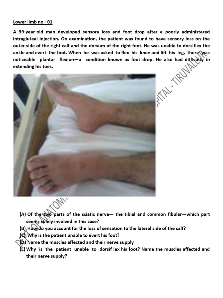 Lower Limb CLINICAL CHART | PDF | Human Leg | Foot