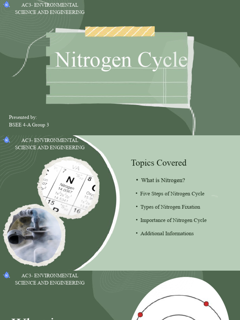 Nitrogen Cycle | PDF | Industrial Gases | Chemistry