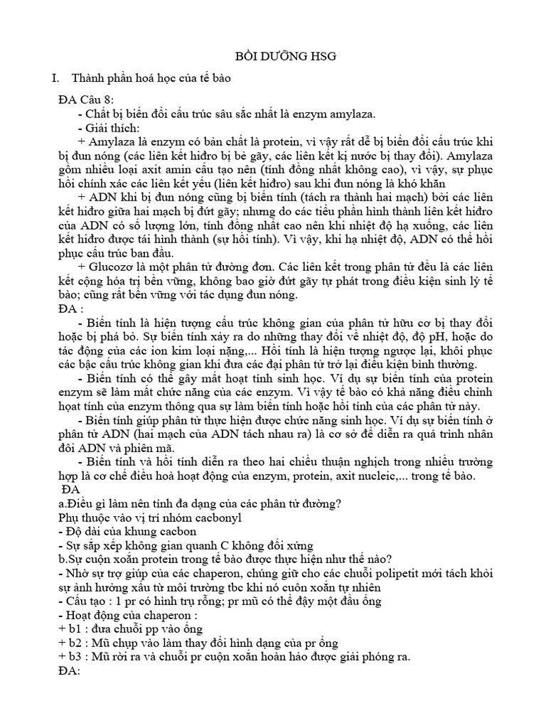 B I Dư NG HSG | PDF