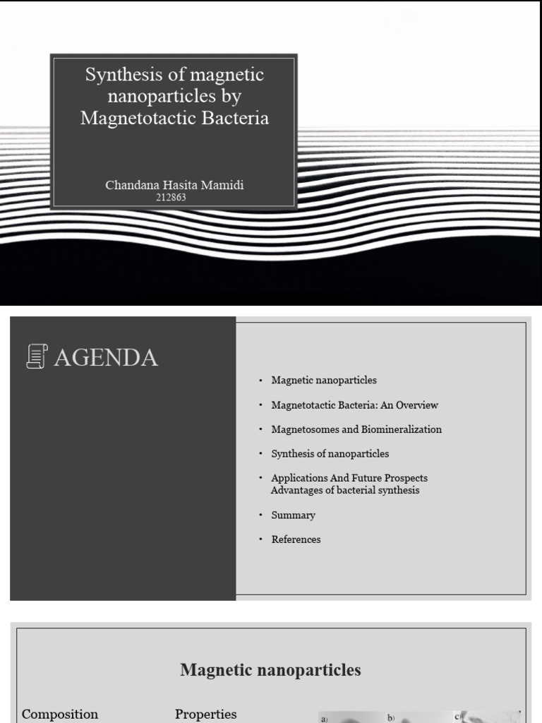 Synthesis of Magnetic Particles by Magnetotactic Bacteria | PDF | Technology & Engineering