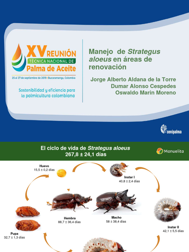 Manejo de Strategus aloeus en Palma Aceitera | PDF