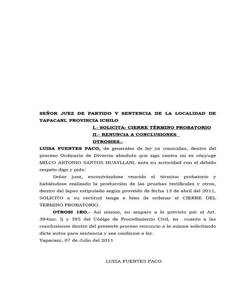 Demanda de Division y Particion de Bienes Gananciales) | PDF | Divorcio | Demanda judicial