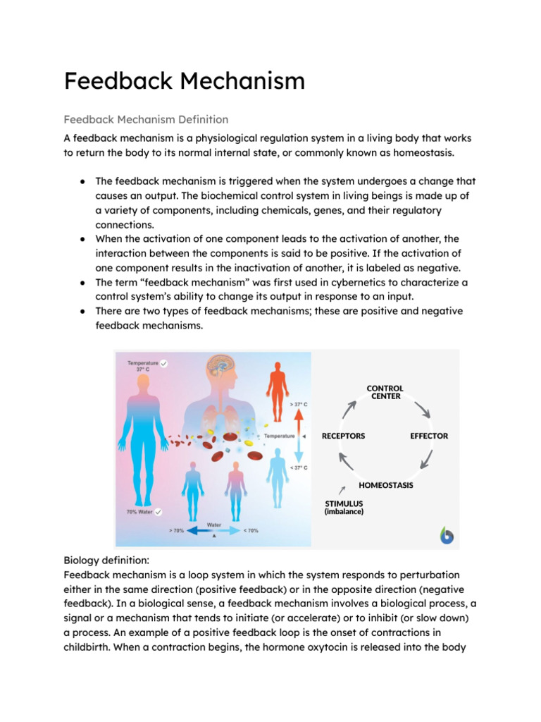 Understanding Feedback Mechanisms in Biology | PDF
