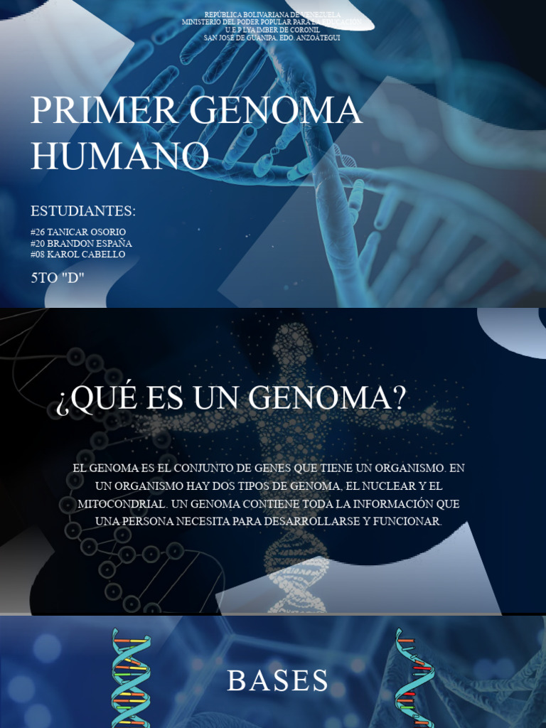 Primer Genoma Humano | PDF | Secuencia ADN | Adn