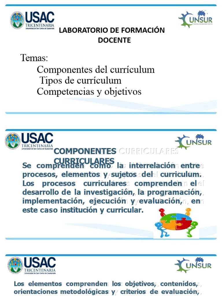 Componentes y Tipos de Currículum | PDF