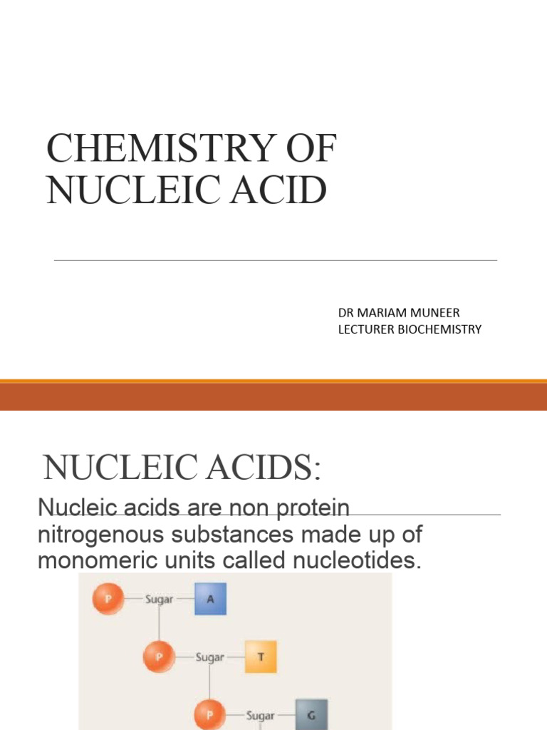 Nucleic Acids: Structure and Functions | PDF | Dna | Rna