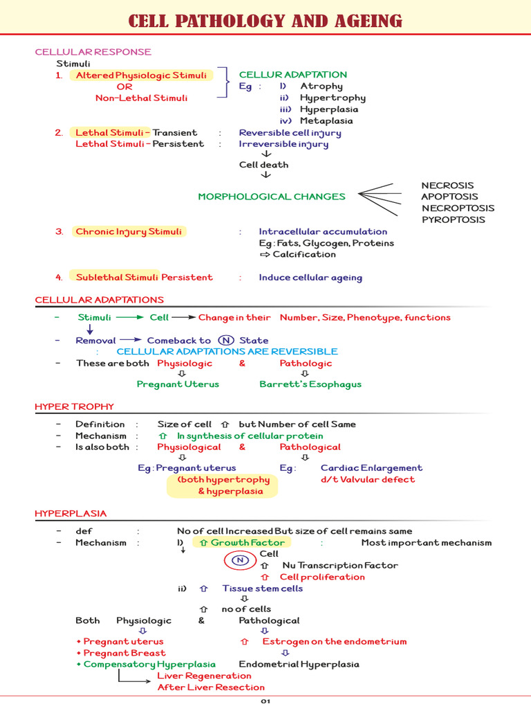 DR Divesh Mishra's Pathology Notes | PDF | Apoptosis | Necrosis
