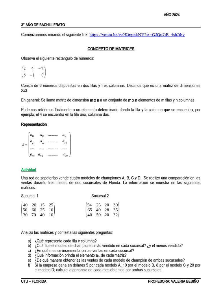 Introducción a las Matrices | PDF