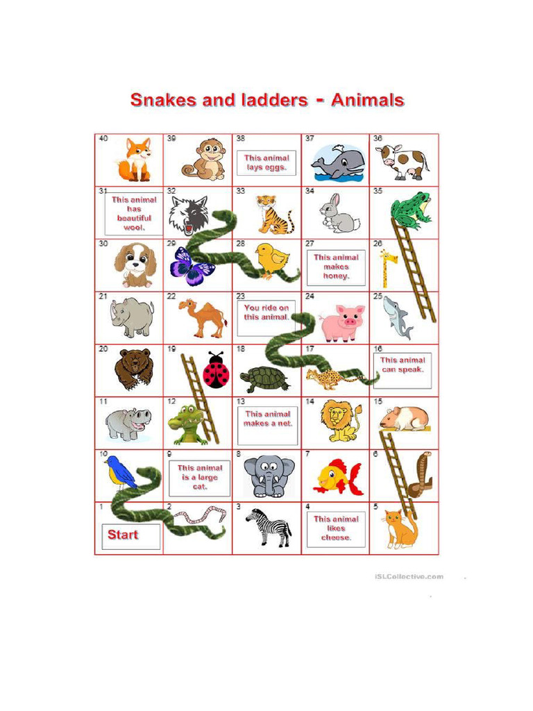 Animals Board Game | PDF