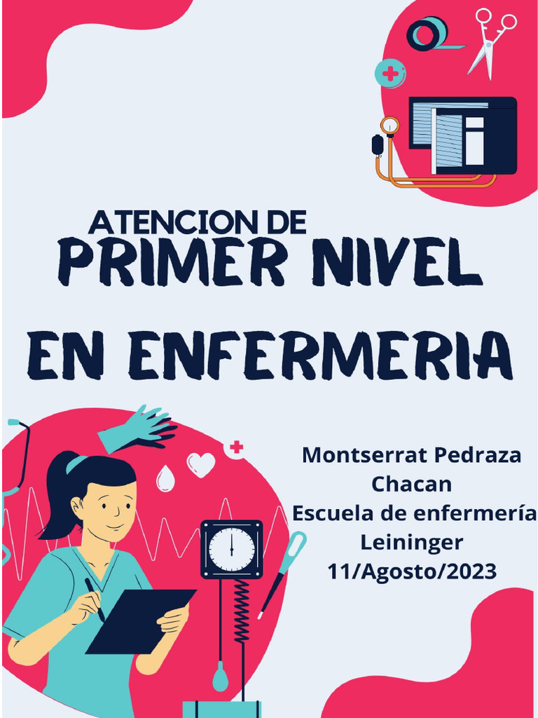 Primer Nivel de Atencion en Enfermeria | PDF