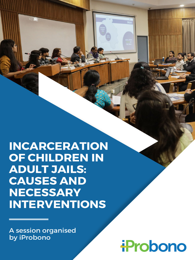 Incarceration of Children in Adult Jails A Summary | Download Free PDF ...