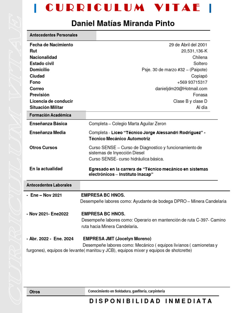 CV Daniel Actual 2024 PDF | PDF