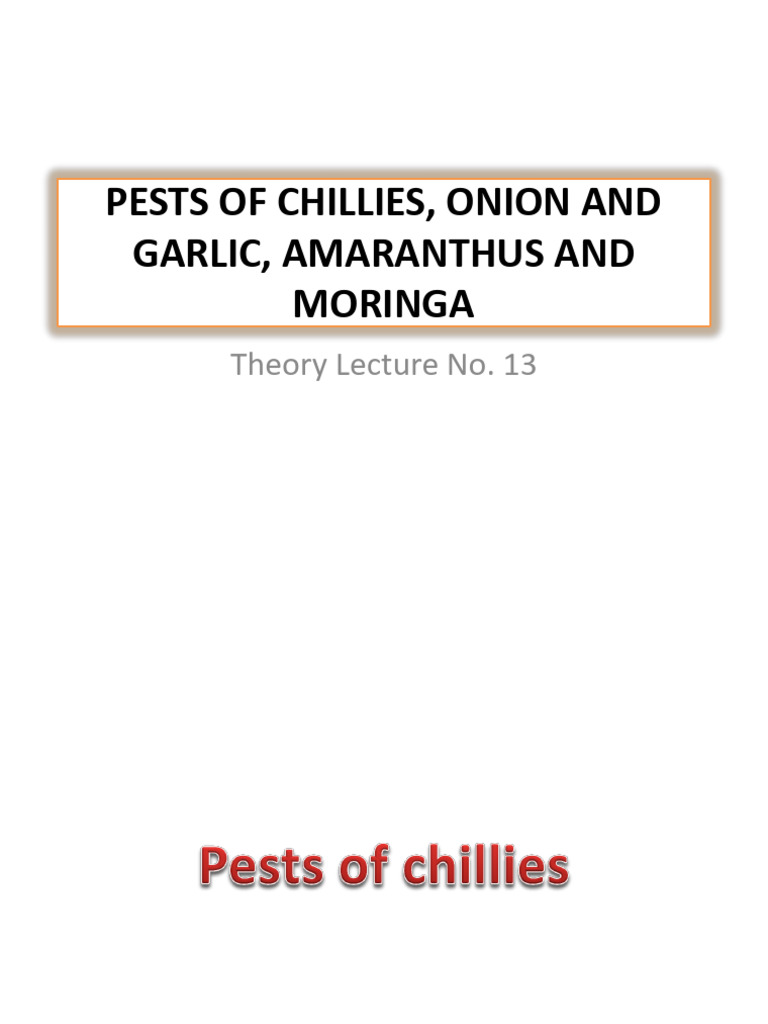 Theory Lecture No 13 Pdf Pupa Lepidoptera