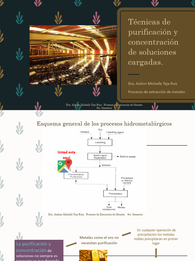 Purificaci¢n y concentraci¢n de soluciones cargadas | PDF | Adsorción | Moléculas