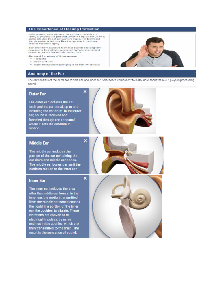 20 PPE - Hearing Protection | PDF