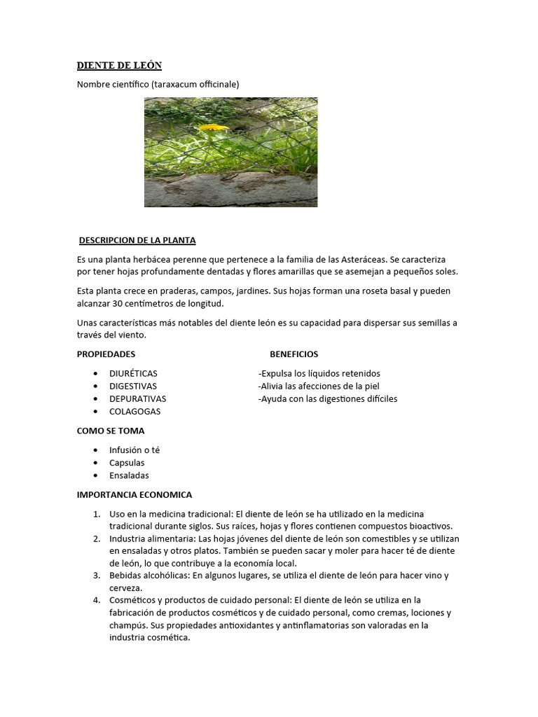 DIENTE DE LEÓN | PDF