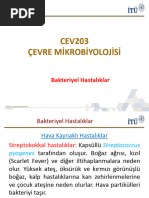 Tatarcik | PDF