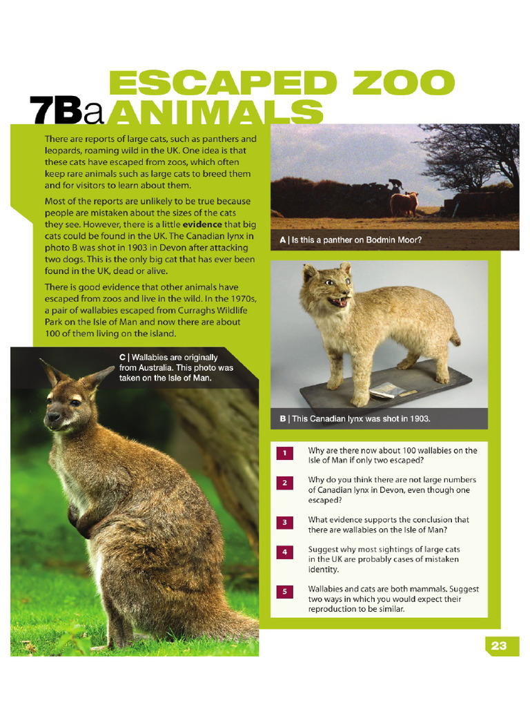 7B Course Book | PDF