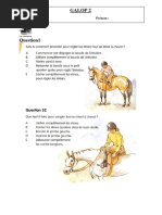 Fiches Pedagogique Galop 3 | PDF | Allure (équitation) | Pédagogie