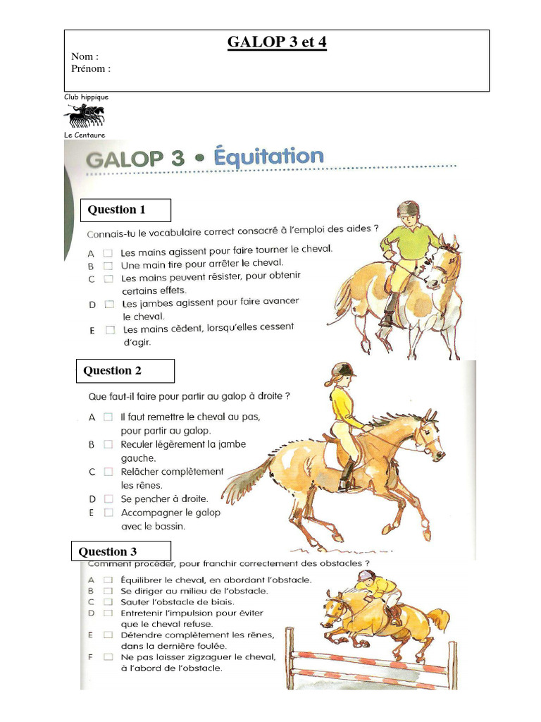 Questionnaire Théorie Galop 3 Et 4 | PDF | Games & Activities