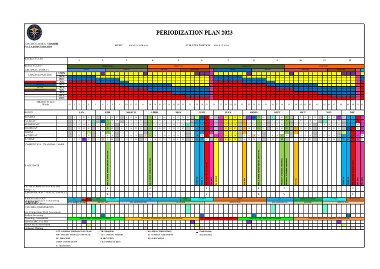 Template Periodisasi | PDF | Medicine | Clinical Medicine