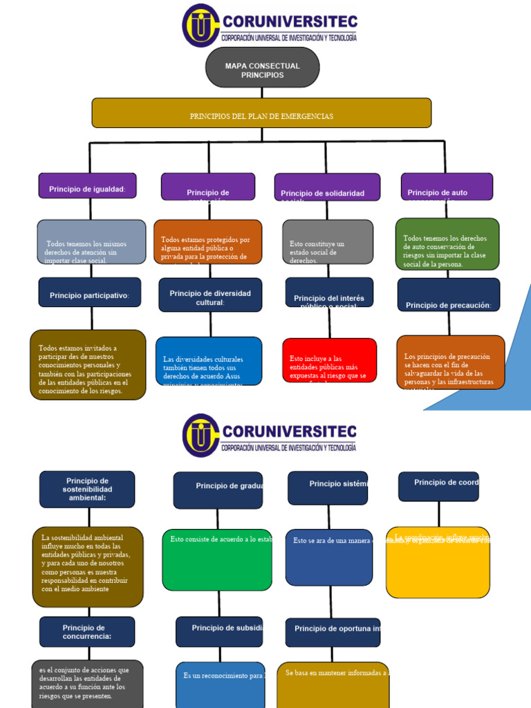 Actividad Mapa Consectual Principios Lorena | PDF
