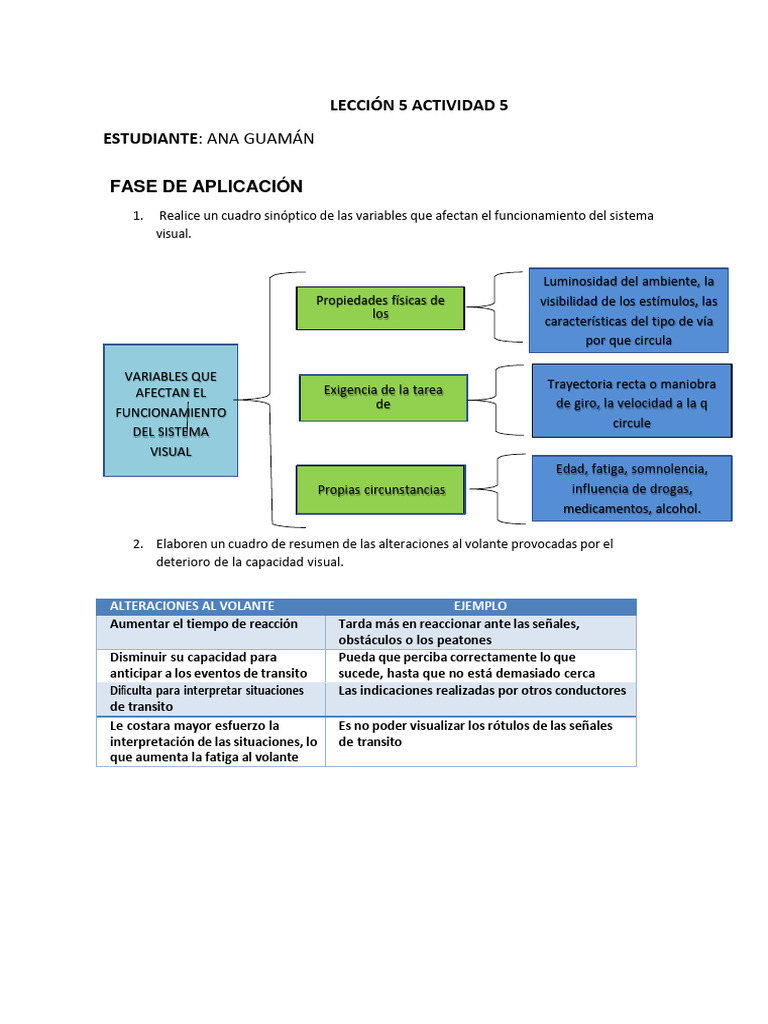 Leccion 5 Avtividad 5 | PDF