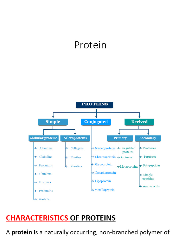 6-7 Protein | PDF | Amino Acid | Proteins