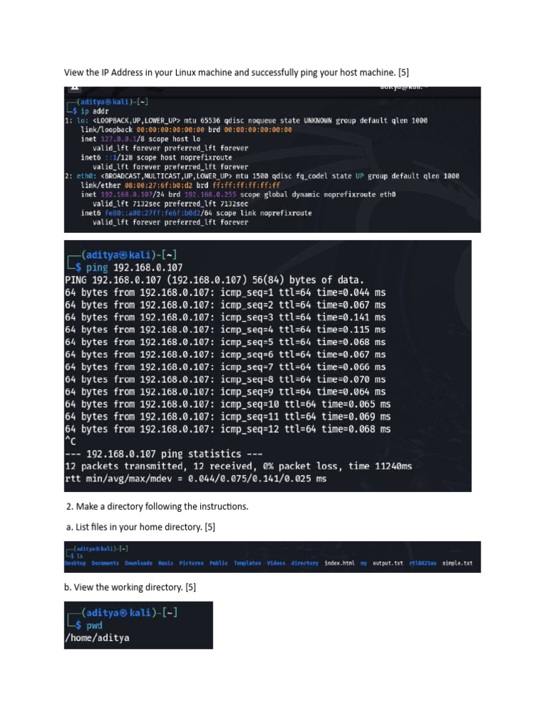 View The IP Address in Your Linux Machine and Successfully Ping Your Host Machine | PDF