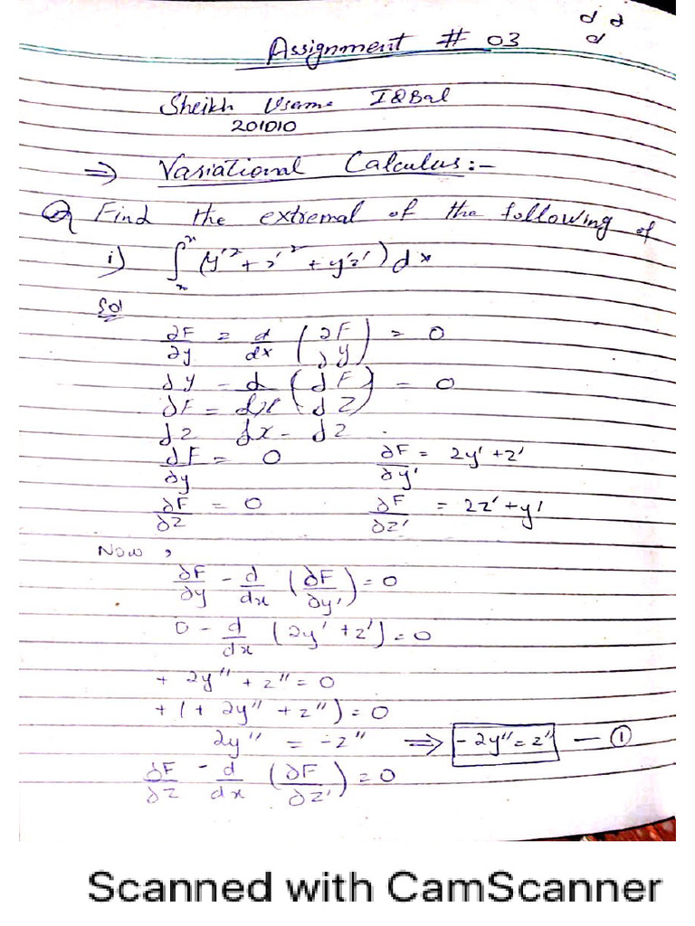 Assignment 3 Variational Calculus | PDF