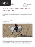 Fiches Pedagogique Galop 3 | PDF | Allure (équitation) | Pédagogie