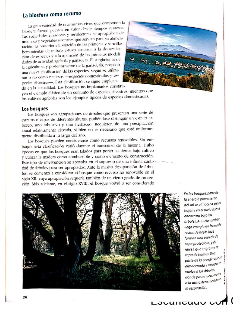 7 TP Geo 5año | PDF